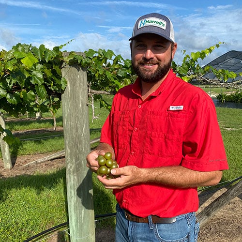 Get Involved | The Society of St. Andrew | Volunteer & Donate Today